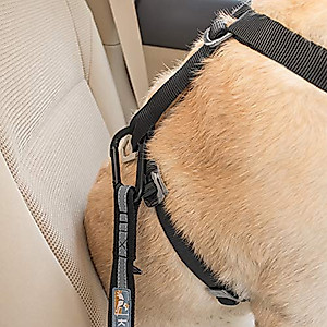 Kurgo 2 Pack Direct to Seatbelt Tether for Dogs. Universal Car Seat Belt for Pets, Adjustable Dog Safety Belt, Carabiner Clip, Use with Any Pet Harness, Charcoal Grey