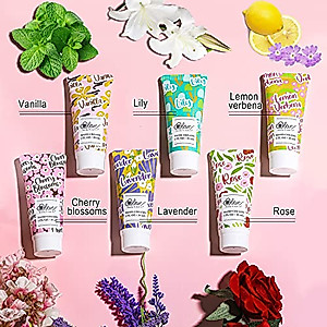 Hand Cream Gift Set - Hand Lotion Gift Set for Dry Crack Hands, Travel Moisturizing Hand Lotion with Vitamin E, Hand Cream Gift Set for Women Christmas Birthday Valentine. Pack of 6,1.0 oz Tube