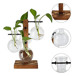 PAG Plant Terrariums Kit Desktop Hydroponics Air Planter Holder with 4 Bulb Beaker Glass Vase and Solid Wood Stand for Home Office Decoration Gift for Women