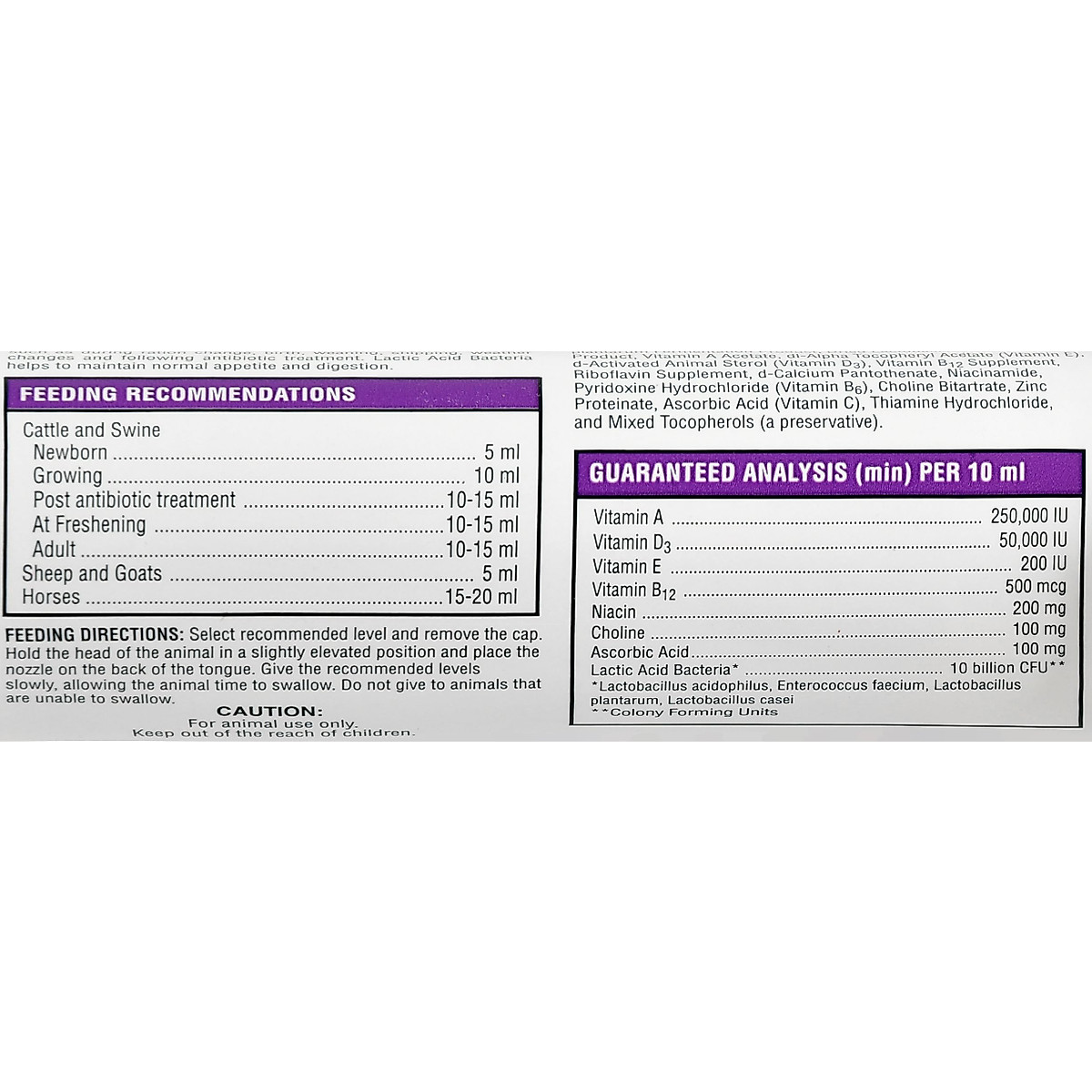 Probiotic Plus Paste 80 cc Tube