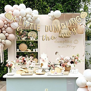 CIEQR A Little Dumpling is On The Way Baby Shower Banner - Baby Shower Decorations, Gender Reveal Hanging Banner Sign Decor, Gender Reveal Decorations for Party Indoor Outdoor...