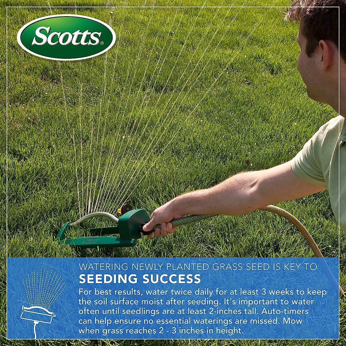 Scotts Turf Builder Grass Seed Dense Shade Mix, Grows With As Little As 3 Hours of Sunlight, 3 lbs.