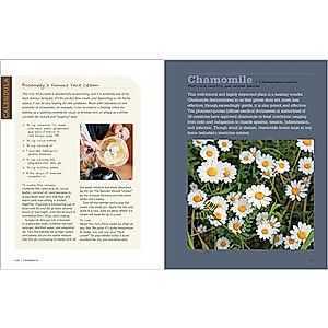 Rosemary Gladstar's Medicinal Herbs: A Beginner's Guide: 33 Healing Herbs to Know, Grow, and Use