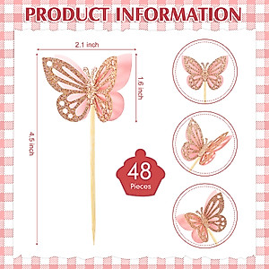 Chinco 48 Pcs Butterfly Cupcake Toppers Assembled Double Layer Cupcake Topper 3D Glitter Cupcake Topper Butterfly Cocktail Pick Decoration for Baby Shower Birthday Wedding (Pink,Classic Style)