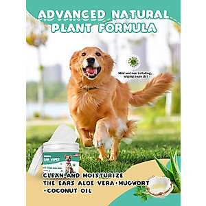 SACLLCAS Large Ear Wipes for Dogs,Dog Ear Cleaning Pads Otic Cleanser for Dirty, Waxy, Smelly Ears Solution,Premium Strength Pet Ear Cleaner Wipes with Natural Aloe and Mugwort-100 Count