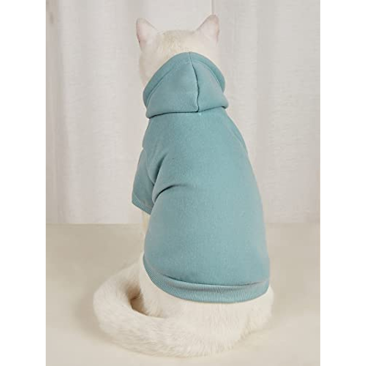 QWINEE Basic Dog Hoodie, Dog Warm Jacket, Cat Apparel, Dog Shirt, Dog Clothes for Puppy Kitten Small Medium Dogs Cats Cadet Blue XL