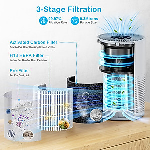 Air Purifiers for Bedroom Home Pets 800 Ft², Tailulu H13 True HEPA Air Filter Portable Air Purifier with 12dB Sleep Mode, Speed Control, Timer, Quiet Air Cleaner For Odor Dust Smoke Pollen AP050