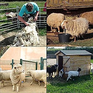 VEVOR Livestock Stand Steel Gate Attachment Nose Loop Headpiece, 9.8inch Height and Trimming Stand 5.9inch Length Adjustable, Nose Loop Goat Trimming Stands, Sheep Shearing Stand, for Sheep & Goats