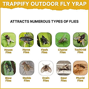 Fly Traps Outdoor, Disposable Hanging Fly Traps Bag, Upgraded 40g Bait