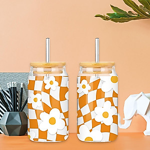 Whaline 2 Pack Retro Floral Checkers Iced Coffee Cup Orange Boho Drinking Glasses Retro Flower Beer Can Glass with Lid Straw Cleaning Brush for Home Office Gifts,16oz