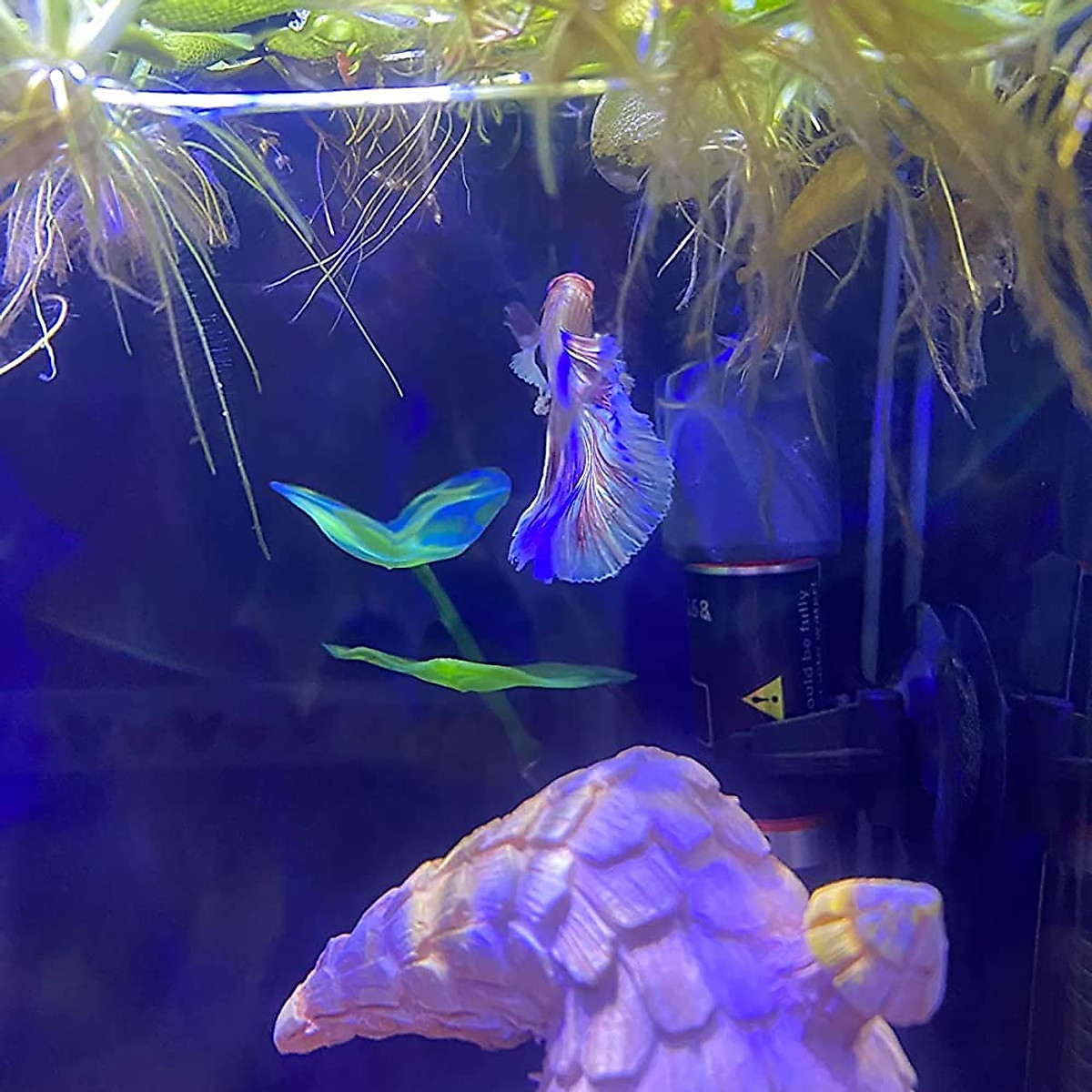 3 Pack Betta Fish Hammock Plant Leaf Pad Fish Spawning Grounds Breeding Resting Bed