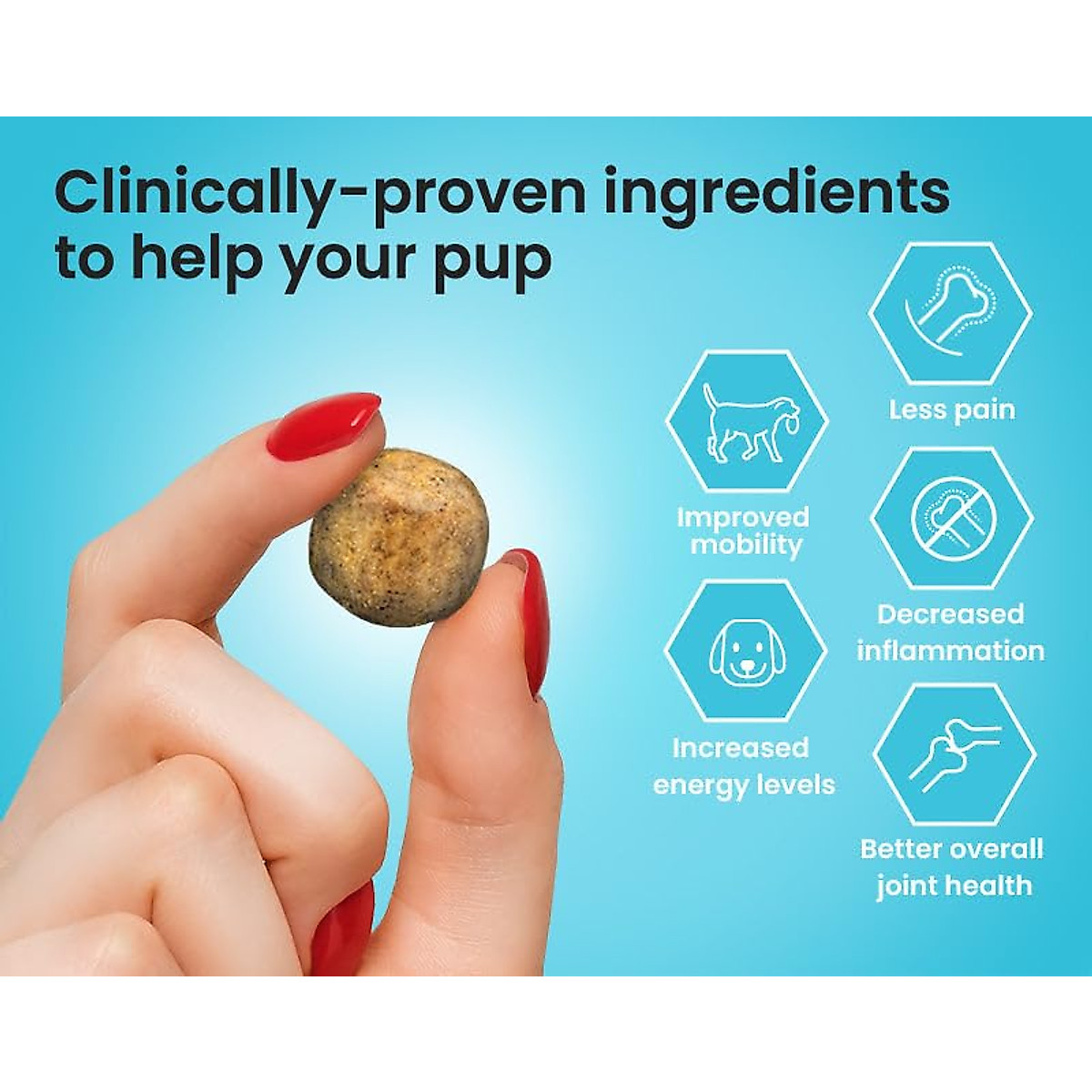 Dogtor Box Vet-Formulated All-Natural Joint Supplement for Dogs with Glucosamine, Chondroitin, MSM, Collagen - 120 Soft Chews Proudly Made in USA