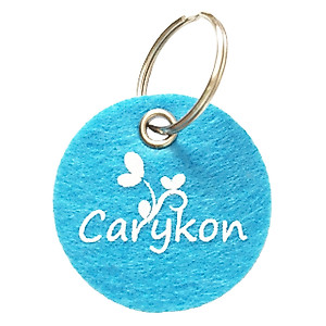 Carykon Cute Tableware Learning Training Helper Chopsticks for Kid Beginner Adult (3pcs, Lucky cat)