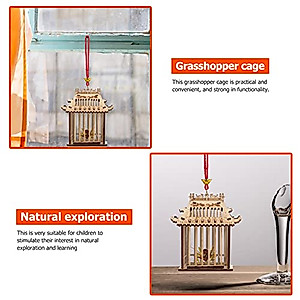 Balacoo Wooden Insect House Grasshopper Cage Bug Habitat Box Insect Critter Cages Garden Hanging Insert Cage for Grasshopper Crickets Insect Light Brown 1