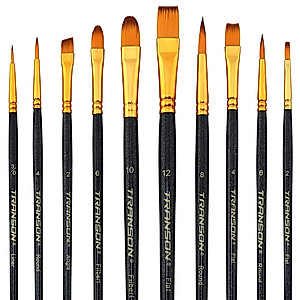 Transon 20pcs Art Painting Brush Set for Acrylic Watercolor Gouache Hobby Craft Face Painting