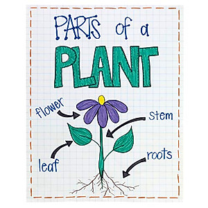 Pacon PAC3373 Heavy Duty Anchor Chart Paper, 1" Grid Ruled, 24" Width, 32" Length, 25 Sheets, White