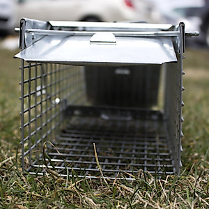 Havahart 1025 Small 2-Door Humane Catch and Release Live Animal Trap for Squirrels, Chipmunks, Rats, Weasels, and Small Animals