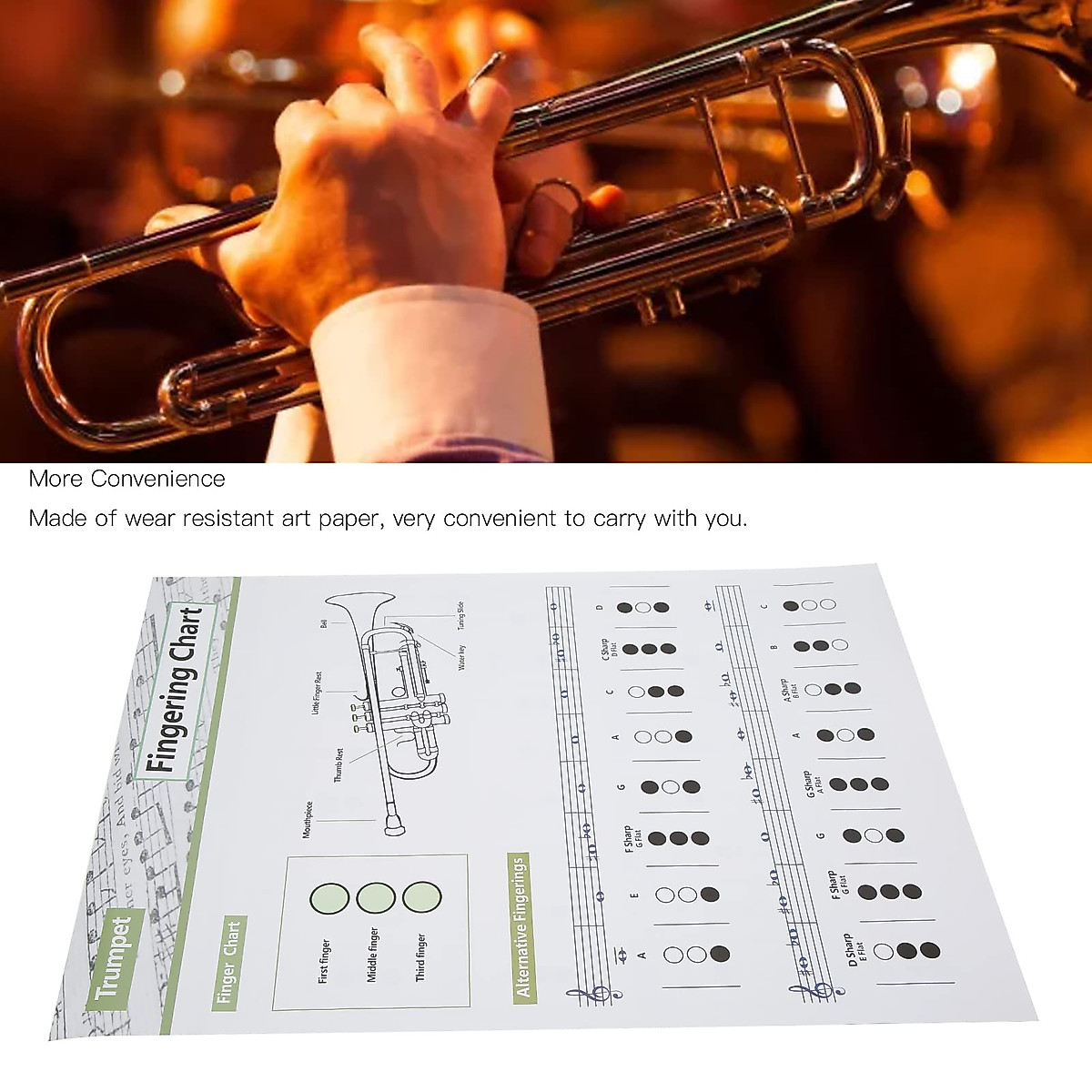 Trumpet Chord Chart Chords Reference Poster Scales Reference Fingering Practice Chart(Trumpet Chord Chart (Large Size))