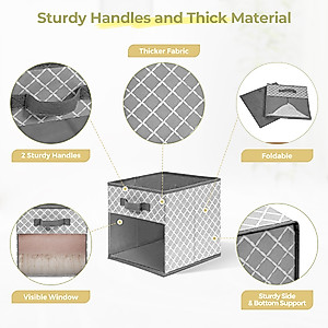 11x11 Large Storage Bins with Clear Window, Set of 6 Storage Cubes, Collapsible Cube Storage Bins, Fabric Closet Organizers with Handles for Home, Office, Closet Shelf Cabinet, Bookcase, Lattice