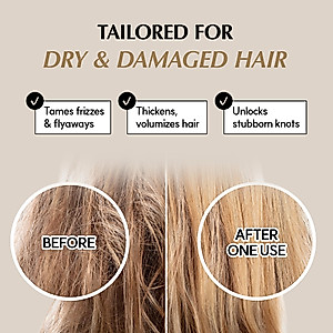 RATED GREEN REAL SHEA Nourishing Shampoo | Sunflower Oil-Infused Moisturizing Shampoo for Dry Damaged Hair | Preservative & Chemical Free Shampoo | Moist-Boosting Dry Hair Shampoo 13.52 Fl Oz