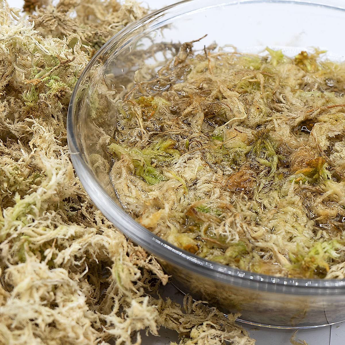 Caverythfit Long Fiber Sphagnum Moss, Naturally Air Dried, Great Orchid Medium, Perfect for Rooting Plants and Cuttings, 5oz(Appx.17QT)