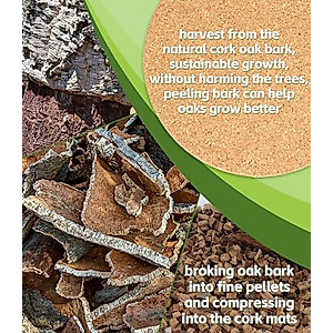 KITLAB Cork Plant Coasters, Double Layers 6 Inch Cork Planter Coaster, Absorbent Cork Plant Mats, Cork Plant Coasters for House Plants, 6 Pcs