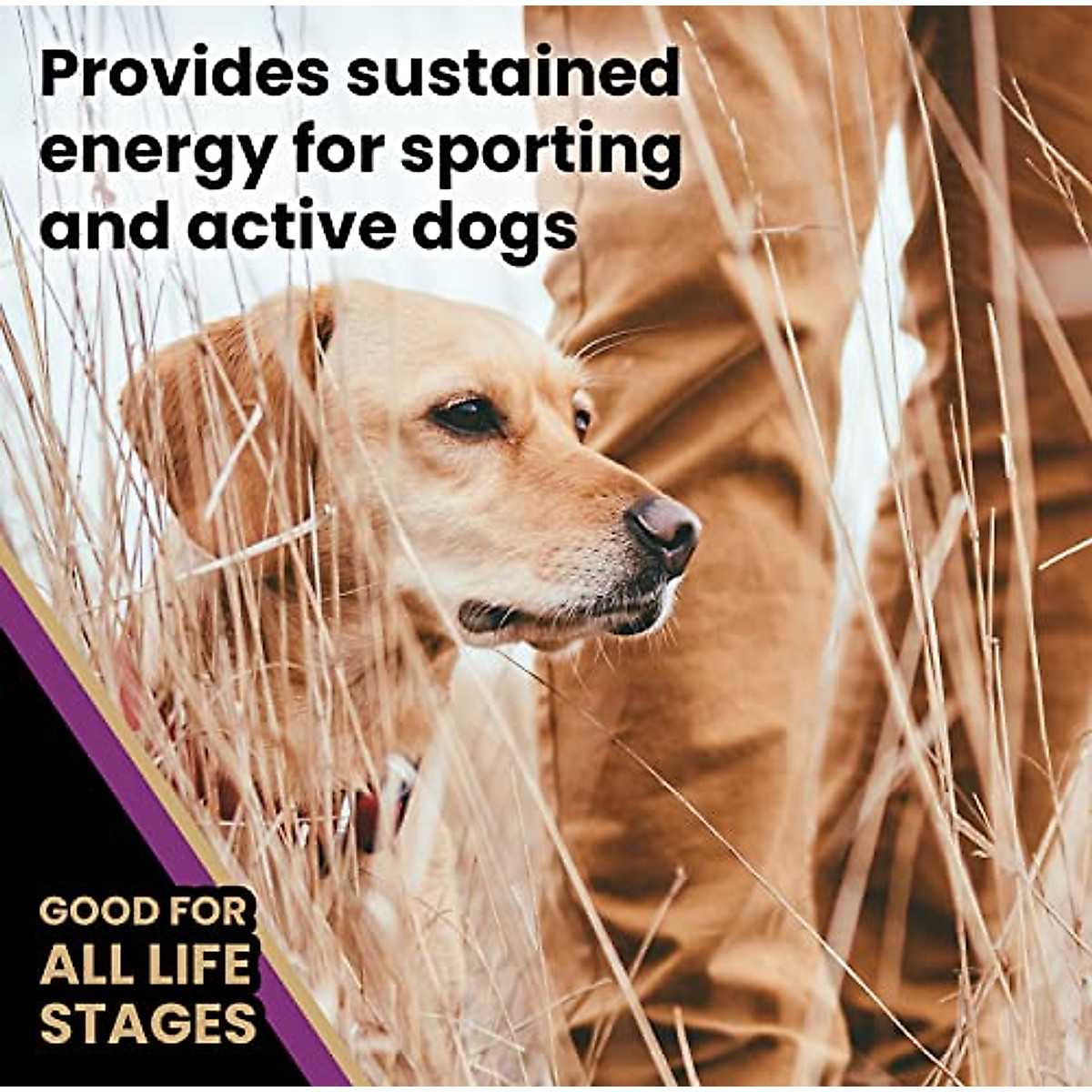 Victor Super Premium Dog Food – Professional Dry Dog Food – Super Premium Dog Food with 26% Protein, Gluten Free - for High Energy and Active Dogs & Puppies, 40lbs