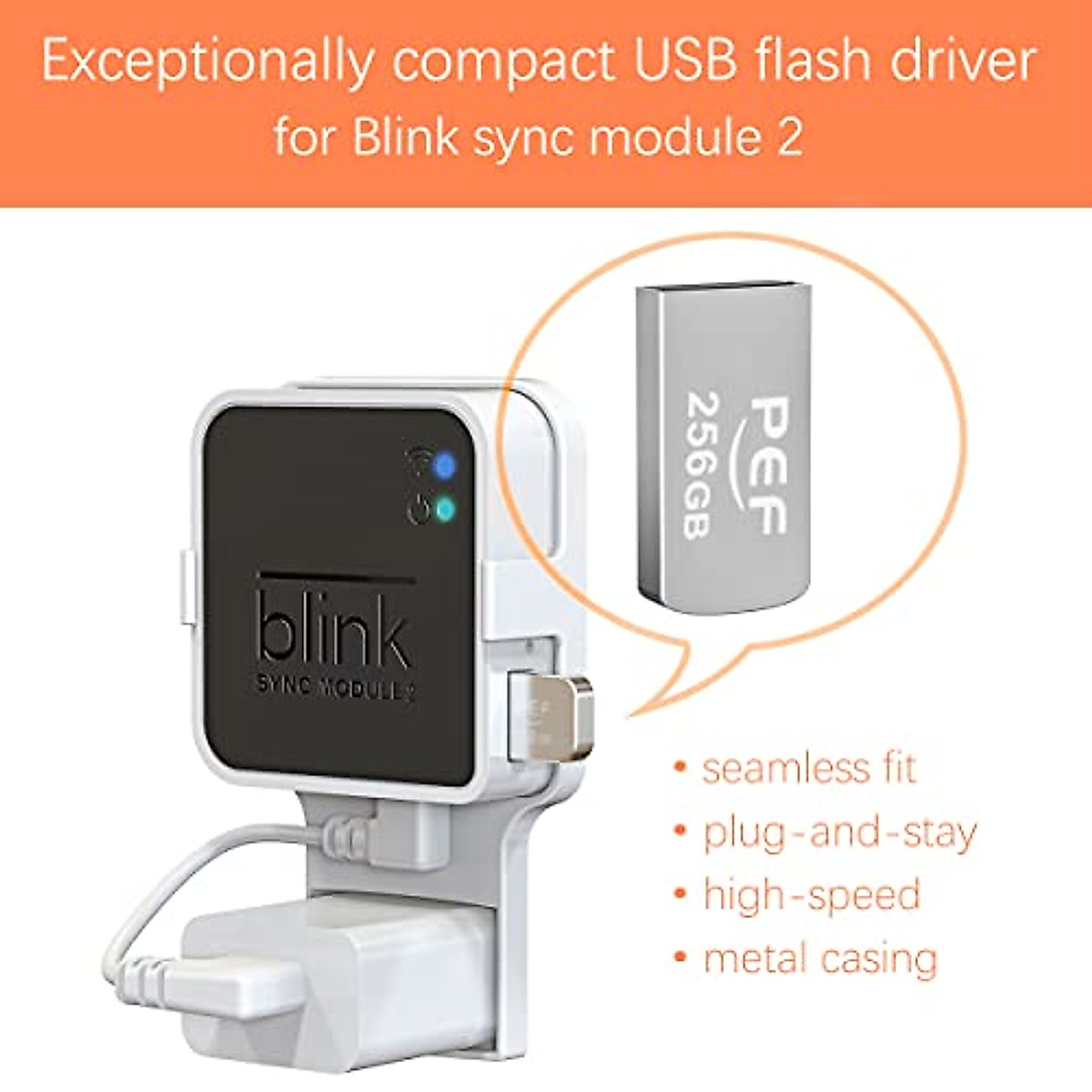 256GB Blink USB Flash Drive for Local Video Storage and The Outlet Mount for Blink Sync Module 2(Blink Add-On Sync Module 2 Itself is NOT Included)