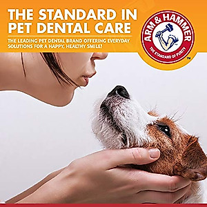 Arm & Hammer for Pets Clinical Care Dental Gum Health Enzymatic Toothpaste for Dogs | Soothes Inflamed Gums | Dog Toothpaste is Safe for All Dogs and Puppies, Beef Flavor, 2.5 Ounces
