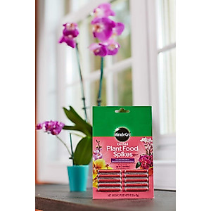 Miracle-Gro Orchid Plant Food Spikes, Plant Fertilizer, 10 Spikes/Pack (24-Pack)