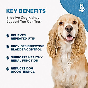Dog UTI Treatment, Bladder & Kidney Support - Natural Incontinence and Bladder Control for Dogs Reduces Urinary Tract Infections, Flush Out Kidney Stones & Improves Dog Kidney Health - 400 Tiny Pills