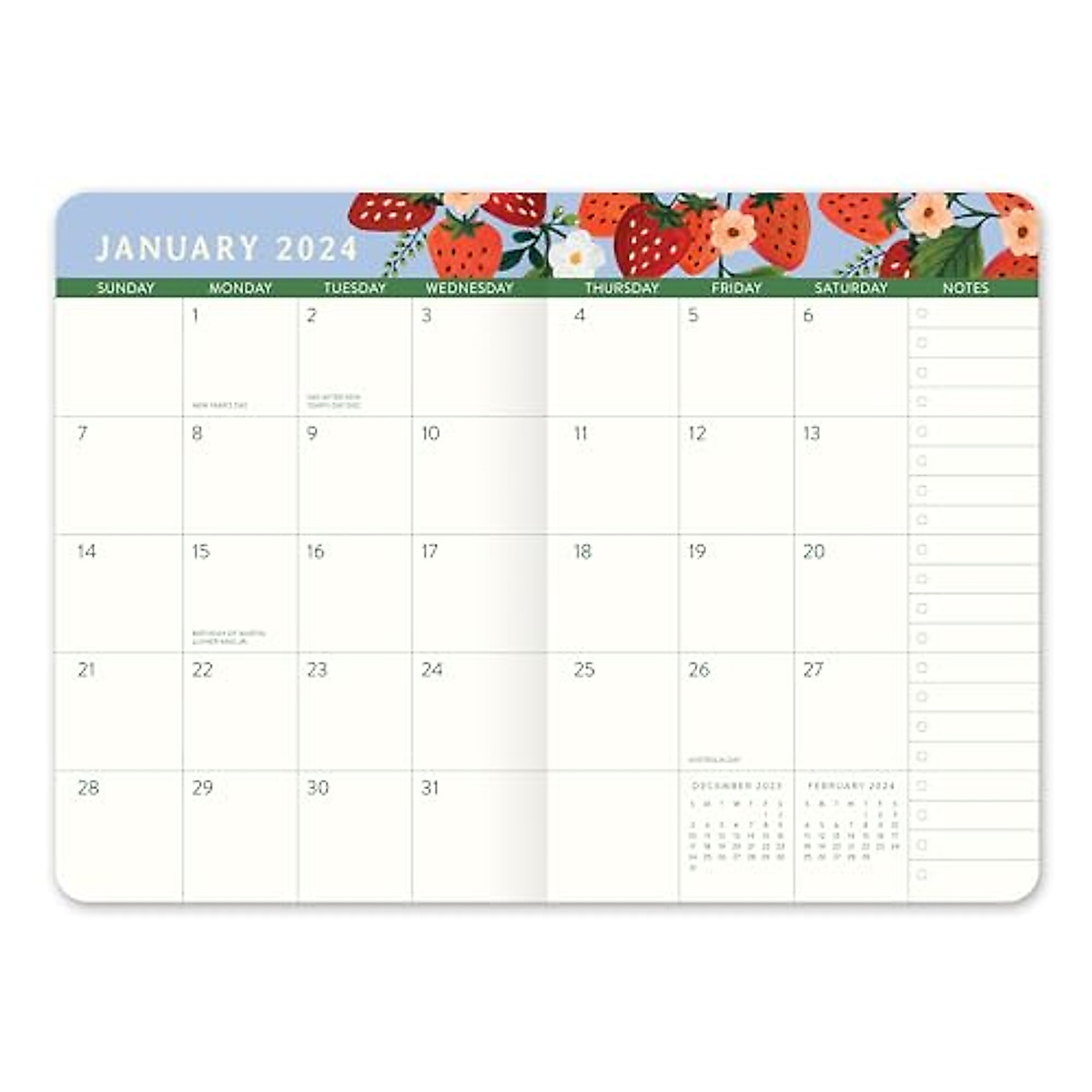 Orange Circle Studio Planner 2024, Weekly & Monthly Calendar, To Do List Notepad, Appointment Book, Budget & Goal Tracker, Small Pocket 17-Month Agenda for School/Work, Fruit & Flora