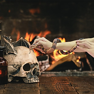 Morofme Realistic Fake Snakes Rubber Snake Toy Plastic Snake Scare Birds Soft Rattlesnake Figurine Snake Prank Props Halloween Snake Decorations for Garden April Fool's Day