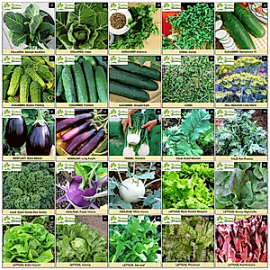 Garden Seeds Vegetable Variety Pack for Planting - Grow 125 Varieties of Heirloom Non GMO Quick Sprouting Veggies - Premium ​Seed Vault by Victory Gardens