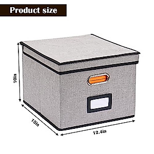 EOOUT File Organizer Box, 1pcs with Lid, Hanging File Folders, Letter Size, Foldable Document Organizer, Home Office, Gray