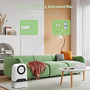 Dehumidifier for Home, RUWORA Dehumidifiers for Bedroom, 30 Pint 2500 Sq.Ft , Water Tank 1.06 Gallon, Dehumidifiers for Basement Bathroom Closet, Overflow Protection, 24H Timer