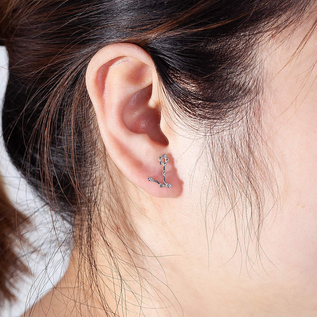 Pisces Zodiac Constellation Earrings 925 Sterling Silver CZ Horoscope Stud Earrings for Women -VIKI LYNN