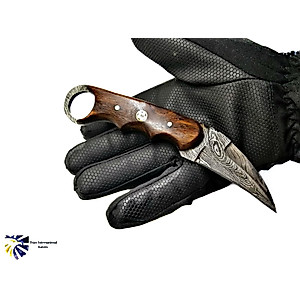 Titan International Knives Damascus Steel Karambit with Rose Wood Scales and Single Edge