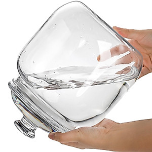 Goaste 135oz Acrylic Cookie Jar with Lid, Airtight Candy Jar Unbreakable, Clear Plastic Apothecary Jar with Silicone Sealing Ring for Dog Treats, Snack, Nuts, Chocolate, Sugar, Herbs, Spices, Cereals