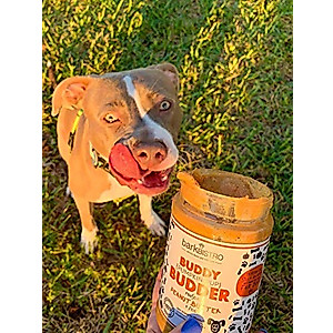 BUDDY BUDDER Bark Bistro Company, Superberry Snoot + Barkin Banana + Pumpkin Pup, 100% Natural Dog Peanut Butter, Healthy Dog Treats - Made in USA (Set of 3 / 17oz)