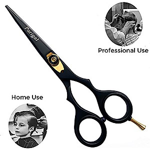 Hair Cutting Scissors Professional Hair Shears 5.5" - Razor Edged Durable Hair Cutting Tools - Handcrafted Barber Scissors in Japanese Stainless Steel - Scissors for Hair Cutting Men & Women