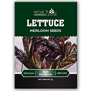 Lettuce Seeds for Planting, Red Romaine Lettuce, Bibb Butter Lettuce, Black Seeded Simpson, Green Ice Iceberg Lettuce, Non-GMO…
