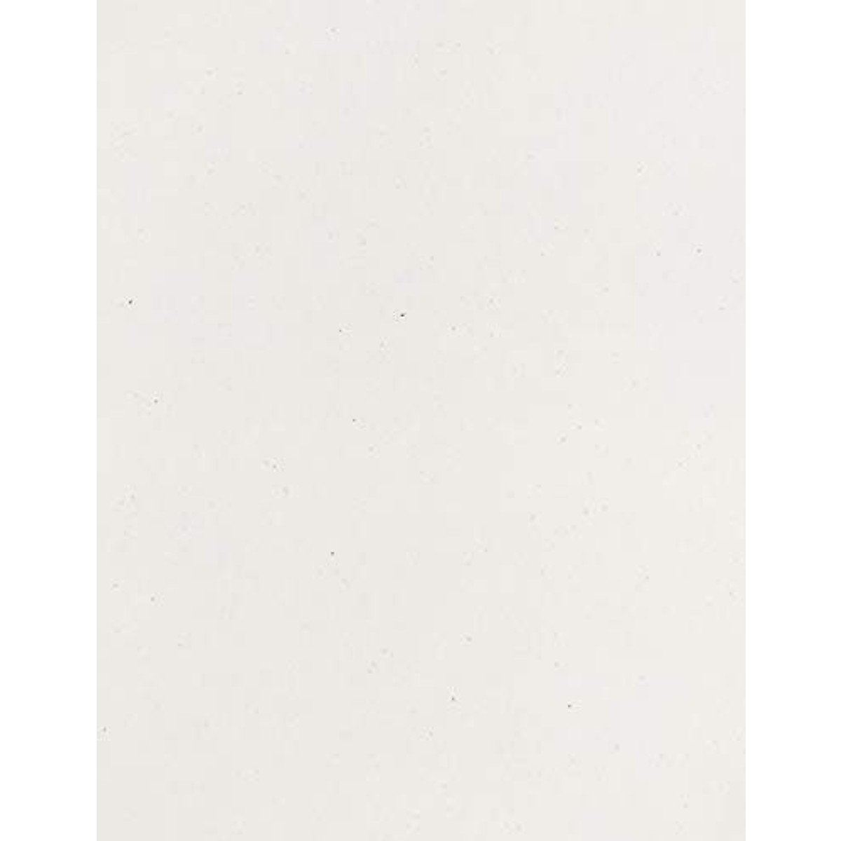 Madero Beach Speckletone 100% Recycled Cardstock Paper - 8.5 x 11 inch - PREMIUM 80 LB. COVER - 25 Sheets