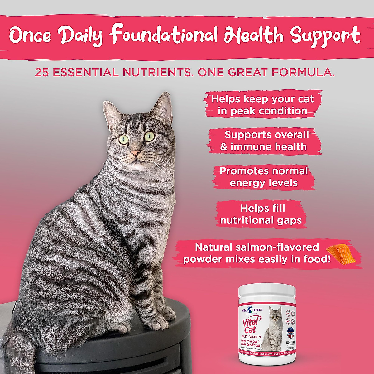 Vital Planet - Vital Cat Multi Vitamin Mineral and Antioxidant Powder for Cats 75 gram 30 Servings