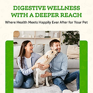 Animal Essentials Colon Rescue for Dogs & Cats - Constipation Relief, Stool Softener with Slippery Elm, Marshmallow Root, Licorice Root - 1 Fl Oz