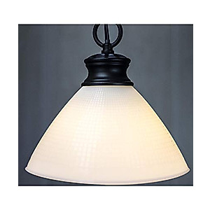 10 Inch Diameter Reflector-Type Replacement Shade