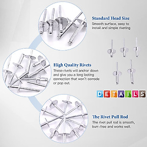 Glarks 240Pcs 3/16" x 3/8'' / 1/2'' / 5/8'' / 3/4'' / 1'' Large Flange Blind Rivets 5 Szie Aluminum Pop Rivets Assortment Set