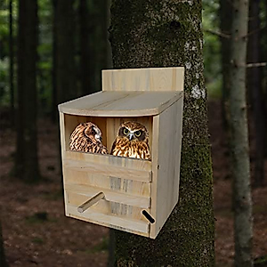 Big Owl House,Screech Owl House,Owl Nesting Box Owl Bird House,Barn Owl Box Owl Boxes for Outside with Mounting Screws, Instructions,Video Teaching, Easy Assembly Required