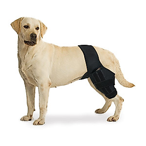Dog Knee Brace Hind Leg Cruciate Ligament Injury for Torn ACL CCL Joint Pain Muscle Sore Inflammation (Medium)