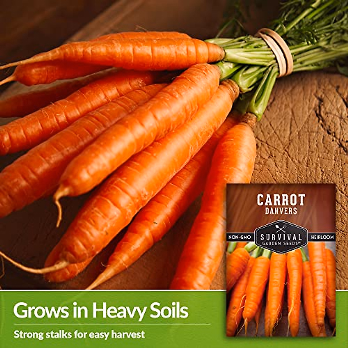Survival Garden Seeds - Danvers Carrot Seed for Planting - Packet with Instructions to Plant and Grow Long Storing Deep Orange Carrots in Your Home Vegetable Garden - Non-GMO Heirloom Variety